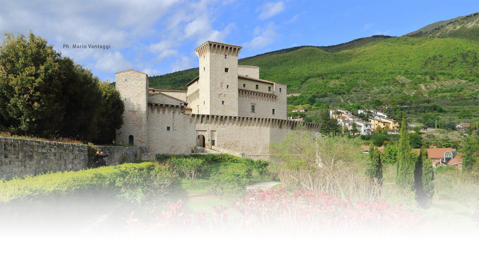 Automazione Industriale: Vi20 dal 1946 Migliora il tuo ciclo produttivo